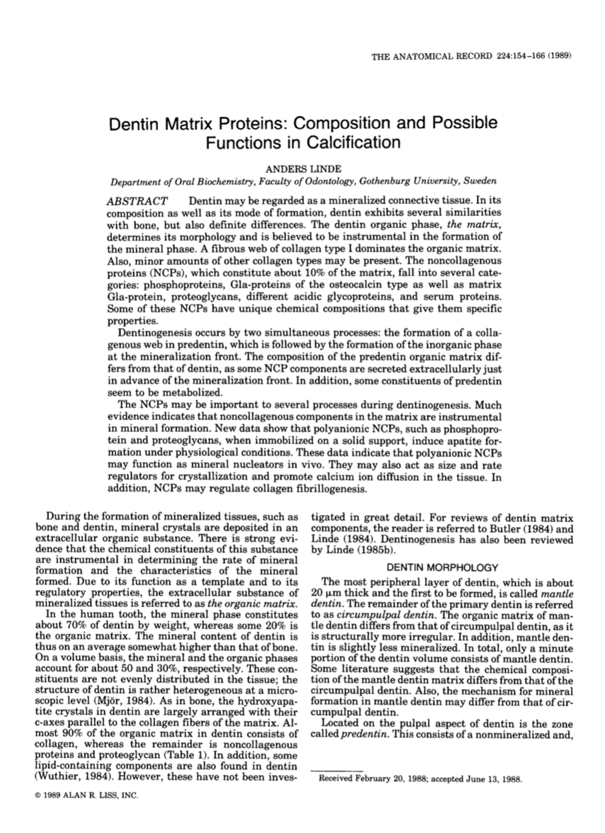 Literature and Publication - TT Transformer