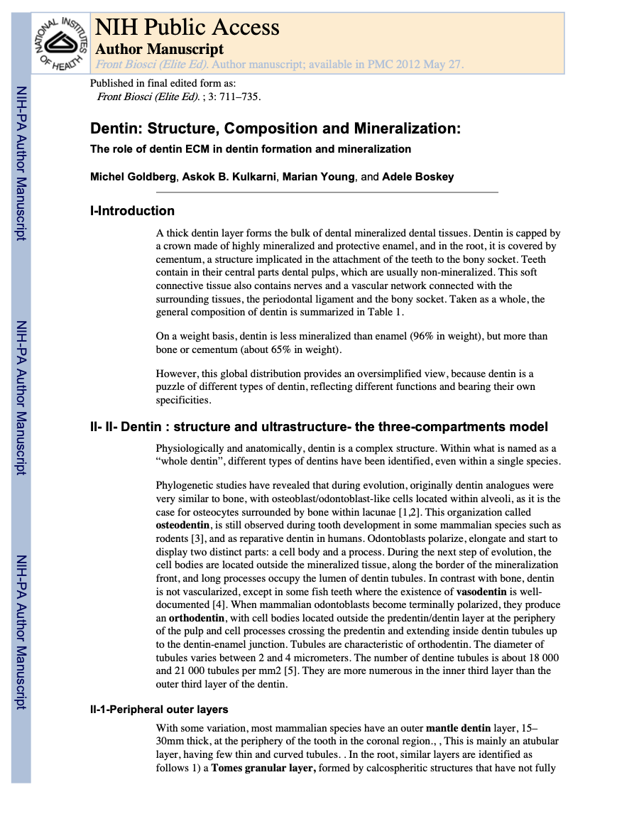 Literature and Publication - TT Transformer